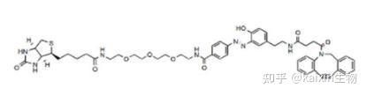重氮生物素 Diazo Biotin-PEG3-DBCO 5mg，25mg - 知乎