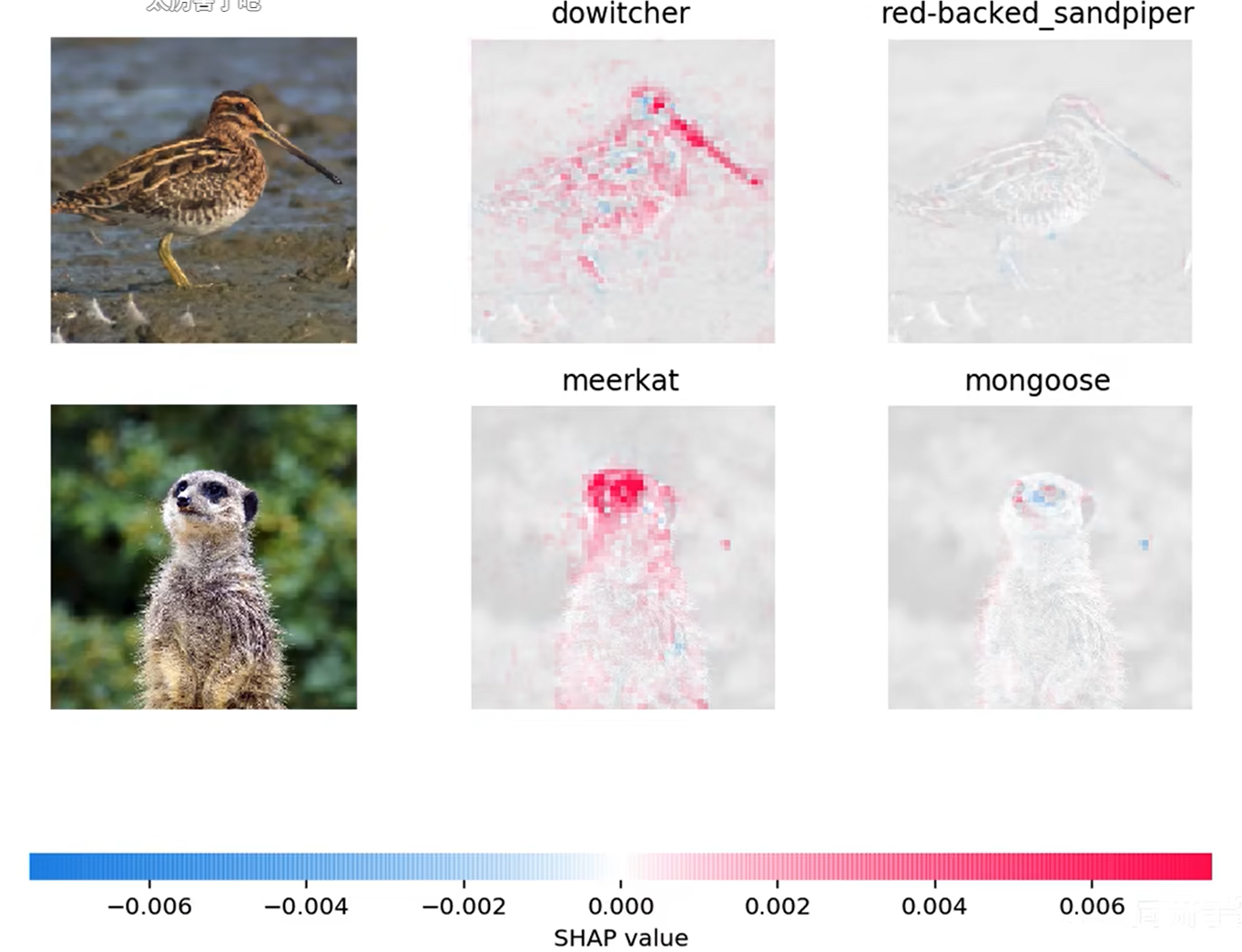 可解释机器学习：SHAP - 知乎