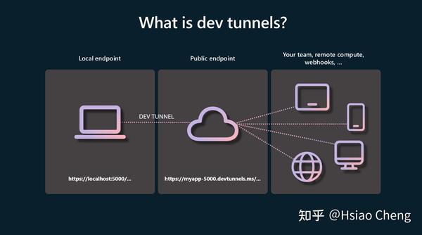 使用Microsoft Dev Tunnels实现内网穿透 - 知乎