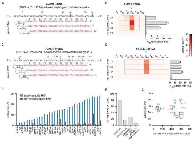 Science｜CRISPR-Cas13编辑RNA - 知乎