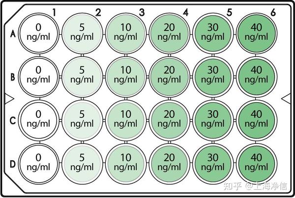 ibidi高通量细胞迁移实验解决方案-ibidi 24孔预置插件培养板 - 知乎