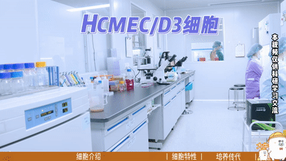 HCMEC/D3细胞培养，人脑微血管内皮细胞培养攻略-丰晖生物 - 知乎