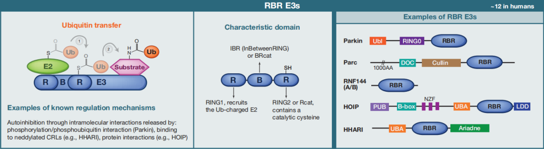 三个蛋白之间的关系如何研究？（二） - 知乎