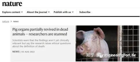 《Nature》重磅：继猪脑“复活”后的又一重大突破，OrganEx助力“起死回生” - 知乎