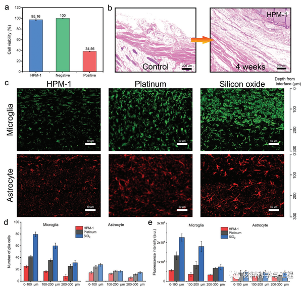 《Adv Mater》：可记录脑神经信号和神经调控的电子传导透明水凝胶 - 知乎
