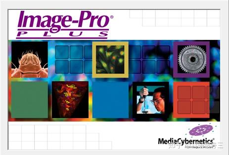 最好用的WB条带灰度分析软件盘点，Image-Pro Plus 、Image J/fiji、Quantity One... - 知乎