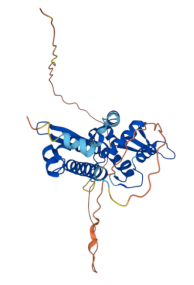 SPEAR T细胞 | afami-cel 为实体瘤患者带来希望 - 知乎