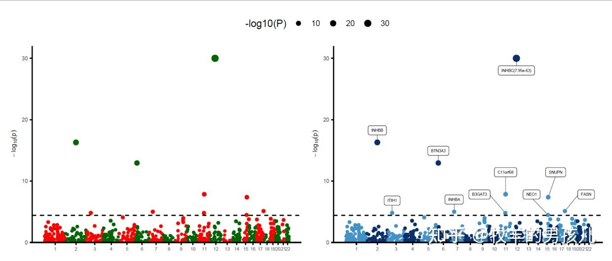跟着Nature Genetics学作图：R语言ggplot2曼哈顿图完整示例 - 知乎