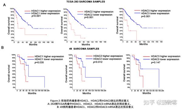 J Immunother Cancer |特瑞普利单抗在软组织肉瘤治疗再添新证据 - 知乎