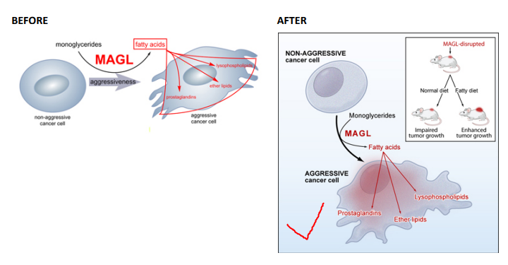 投稿SCI遇到杂志要求提供Graphical Abstract或TOC？该如何制作呢，建议收藏 - 知乎