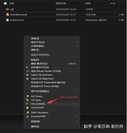Git 101: TortoiseGit 简易教程 - 知乎