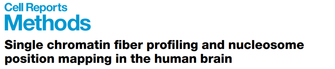 贝瑞基因解密：解锁人类基因组奥秘的“超级钥匙”——Fiber-seq - 知乎