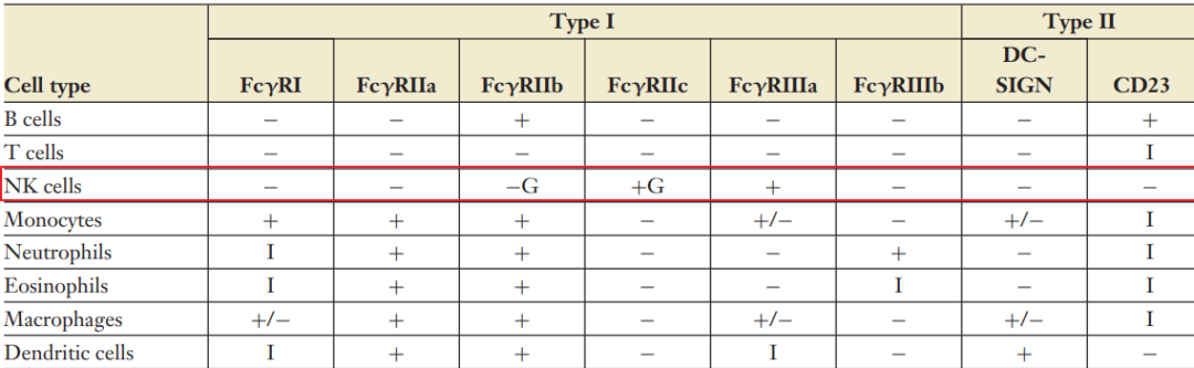 增强ADCC效应的三种工艺 - 知乎