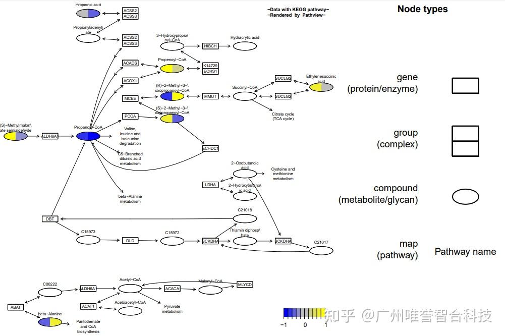 如何用Pathview画出高大上的基因与代谢通路热图？ - 知乎
