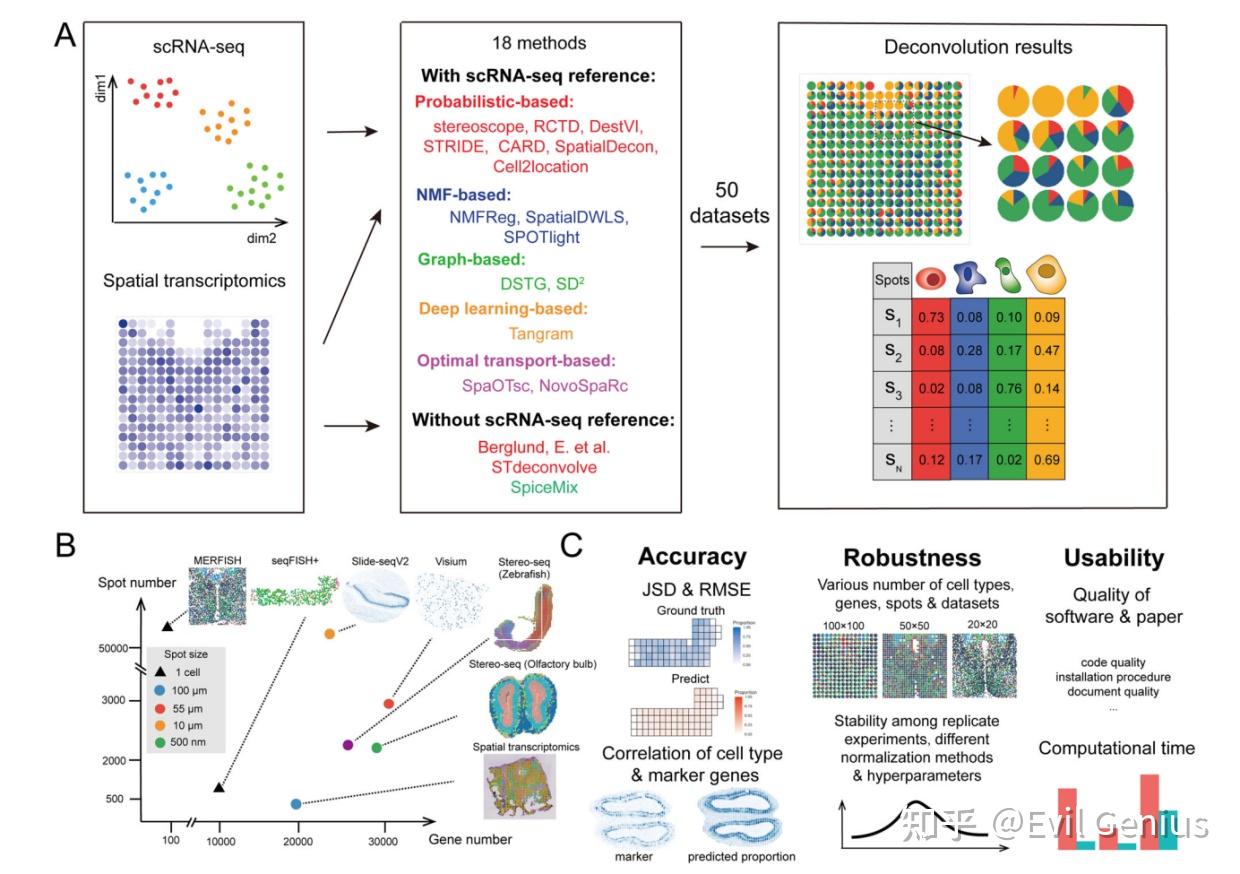 单细胞空间绘制人类胚胎器官发生时期细胞图谱 - 知乎