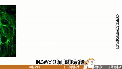HASMC细胞培养，人主动脉平滑肌细胞培养攻略-丰晖生物 - 知乎