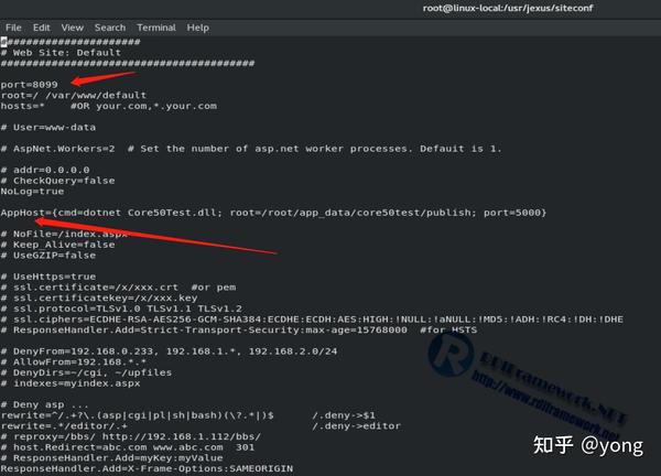 .NET Core部署到linux最全解决方案，高阶篇(Docker+Nginx 或 Jexus) - 知乎