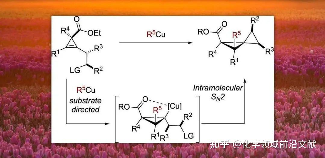 以色列理工学院Ilan Marek课题组JACS：多取代螺戊烷的立体选择性合成 - 知乎