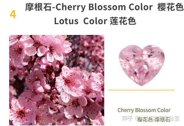 ALGT|一文秒懂ALGT商业名称详解 - 知乎