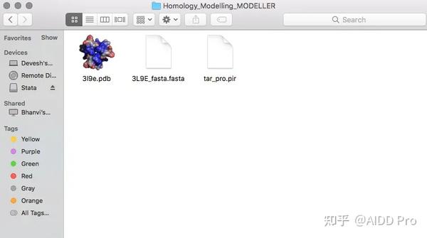 MODELLER 用于同源建模：5 个简单步骤的代码教程【02】 - 知乎