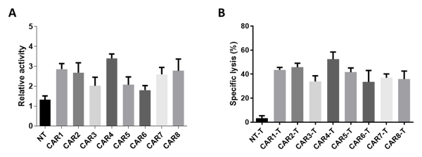 OncoWuXi速递 | Jurkat报告细胞赋能免疫治疗药物筛选 - 知乎