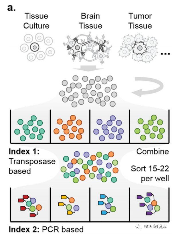 这么多单细胞测序平台，我该选哪个？ - 知乎