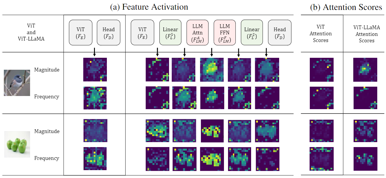 多模态超详细解读 (十三)：LM4VisualEncoding：语言模型中的冻结编码器来提取视觉特征 - 知乎