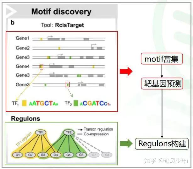 10X单细胞（10X空间转录组）数据分析之转录因子的分析方法与解读 - 知乎