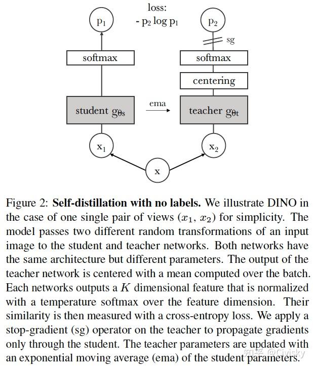 DINO：自监督ViT的新特性 - 知乎