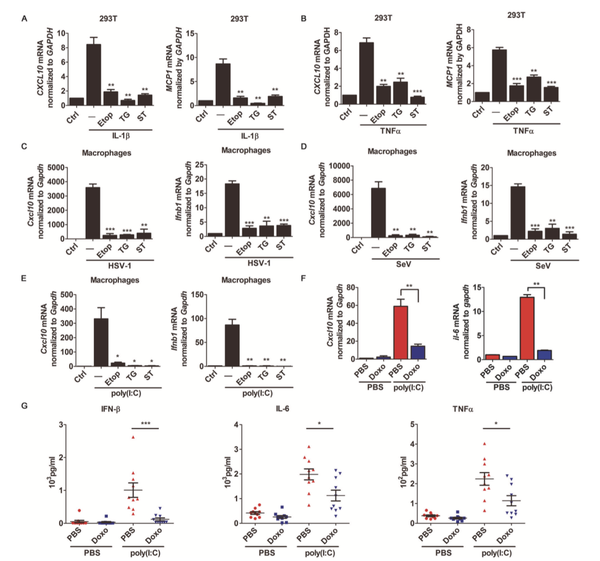 CDD丨caspase-3通过NF-kb抑制炎症 - 知乎