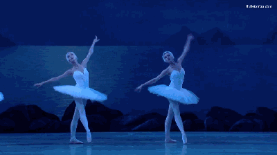 《天鹅湖》你可能真的没看懂 - 知乎