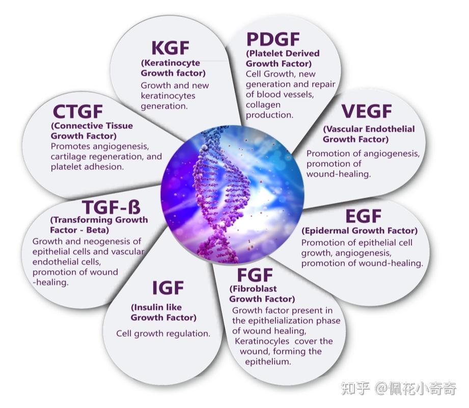 如何避坑？史上最全的寡肽，冻干粉，EGF，bFGF，KGF等干货都在这里了！ - 知乎
