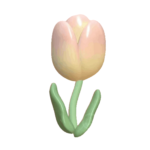 3D郁金香表情包 - 知乎