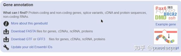 转录组分析之参考基因组的查找 - 知乎