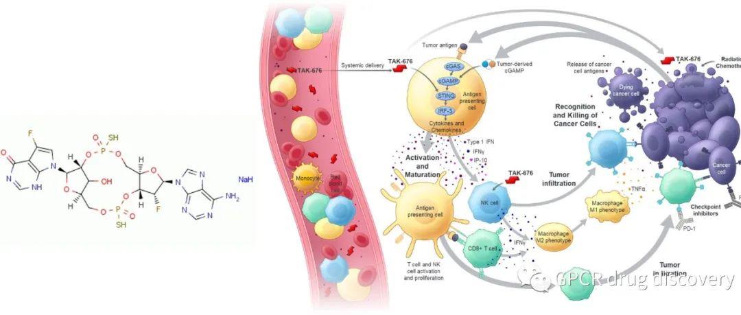 Pharvaris: 开发新型口服缓激肽B2受体拮抗剂，用于治疗和预防遗传性血管性水肿 - 知乎