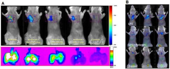 IVIS 活体光学成像技术概述-上海玮驰仪器有限公司