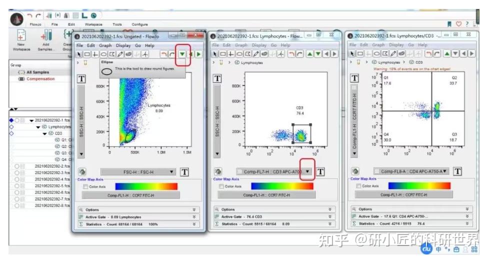 【干货】FlowJo 10.7.2数据处理基本操作|研小匠的实验记录 - 知乎