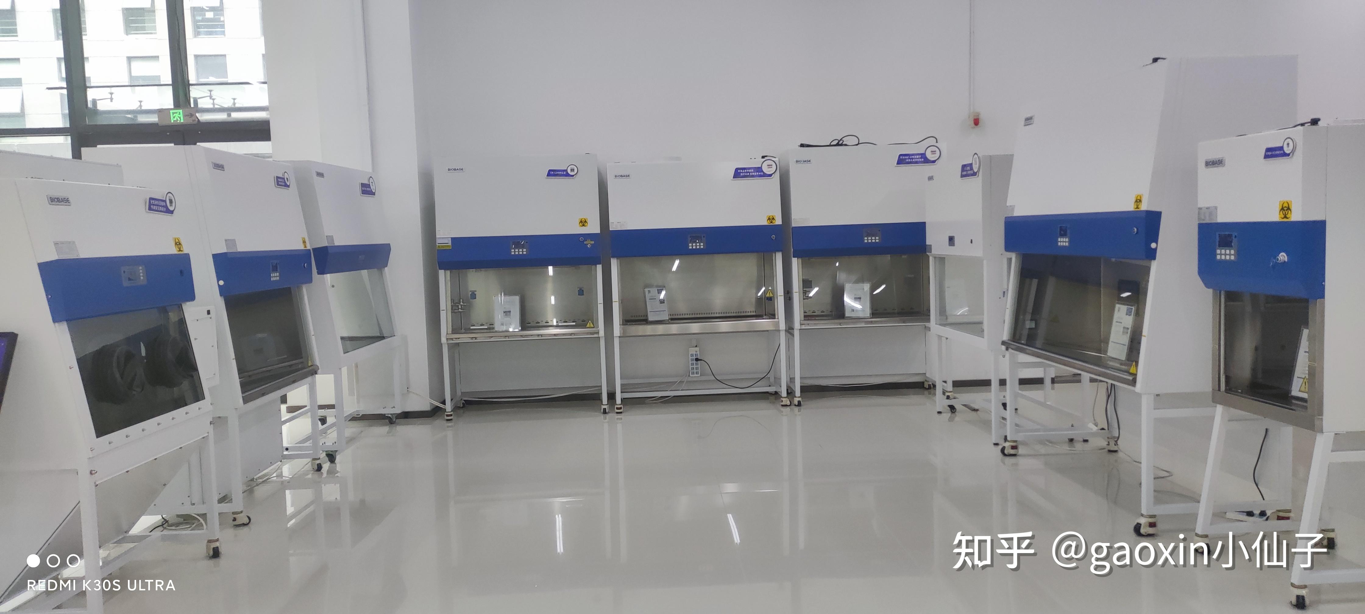 生物安全柜与洁净台的区分 知乎 4781