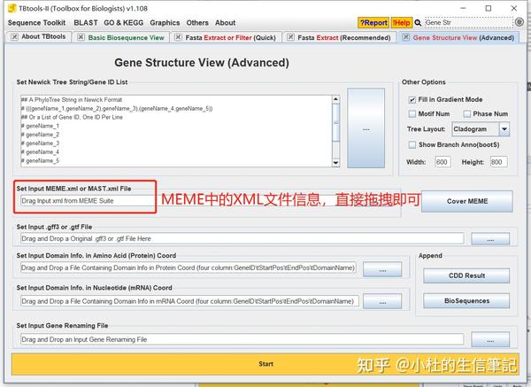 基于TBtools做基因家族分析教程 （全） - 知乎
