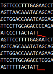 使用 KaKs Calculator 计算 KaKs 的衍生问题解答 - 知乎