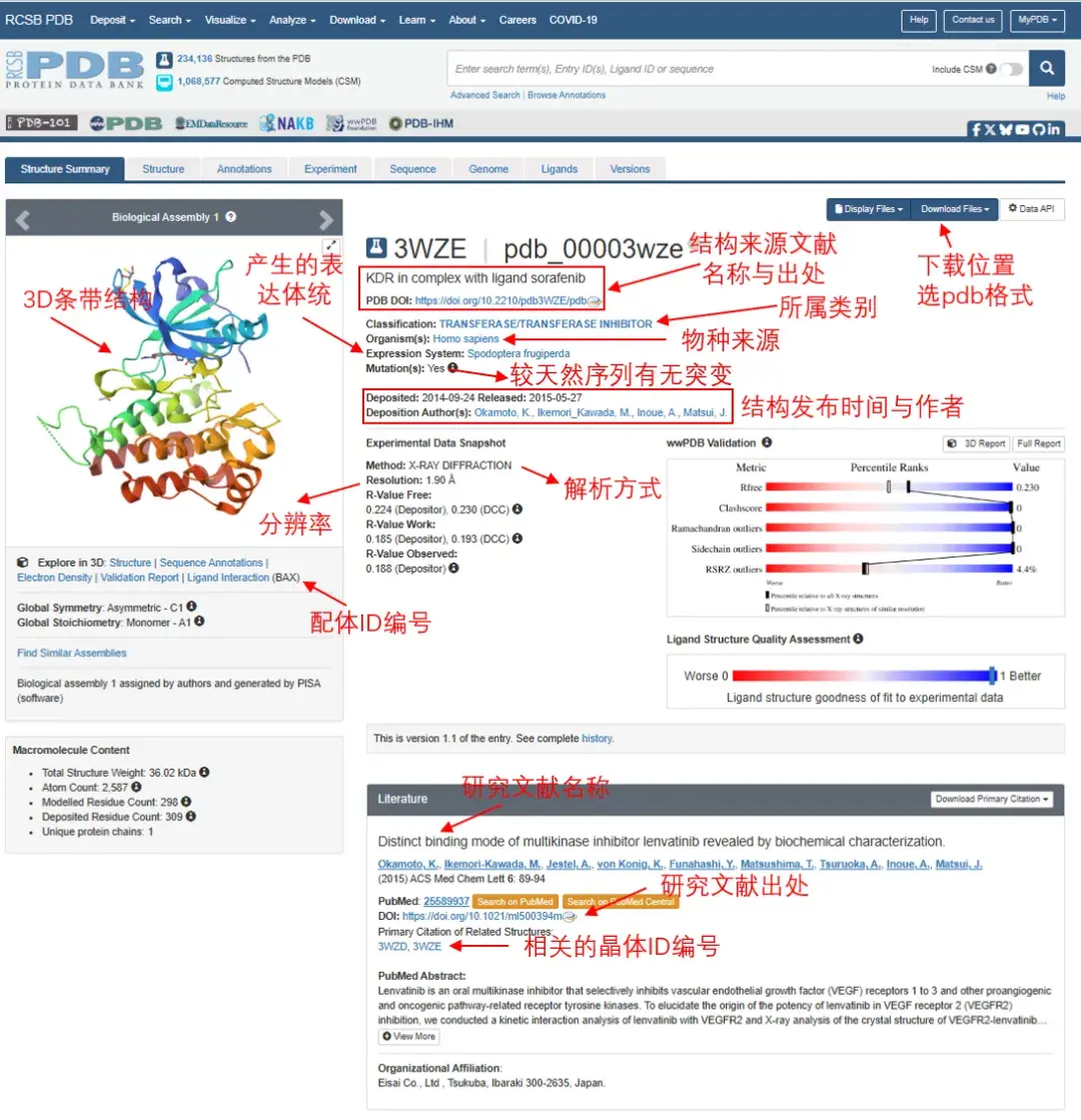 分子对接蛋白晶体的获取--PDB与UniProt数据库的使用 - 知乎