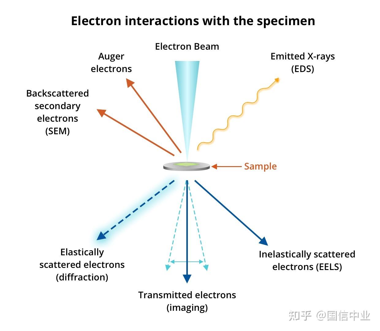 技术解读专栏|透射电子显微镜（TEM） - 知乎