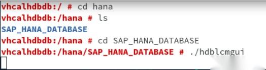 SAP S4HANA 2022安装记录：4. 安装SAP HANA数据库 - 知乎