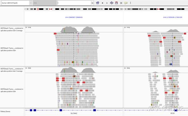IGV快速上手指南（四）——查看基因融合 - 知乎