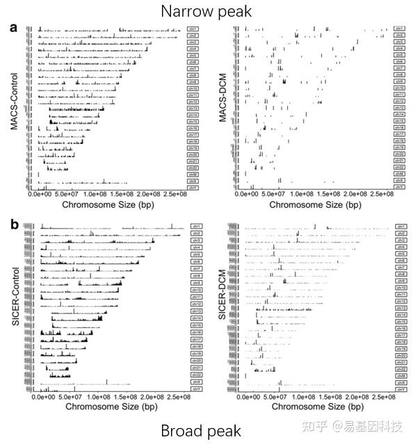 ChIP-seq应用领域、研究思路、数据挖掘、下游实验、实验关键 | 易讲堂 - 知乎