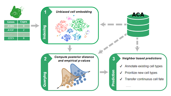 Cell BLAST：scRNA序列数据查询和注释工具 - 知乎