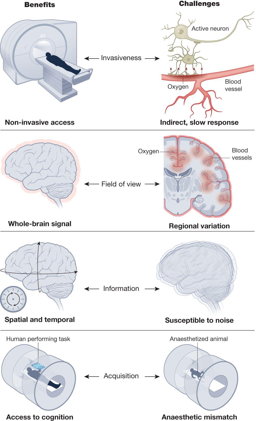 Nature：fMRI联接系统神经、认知神经、计算神经和临床神经科学 - 知乎