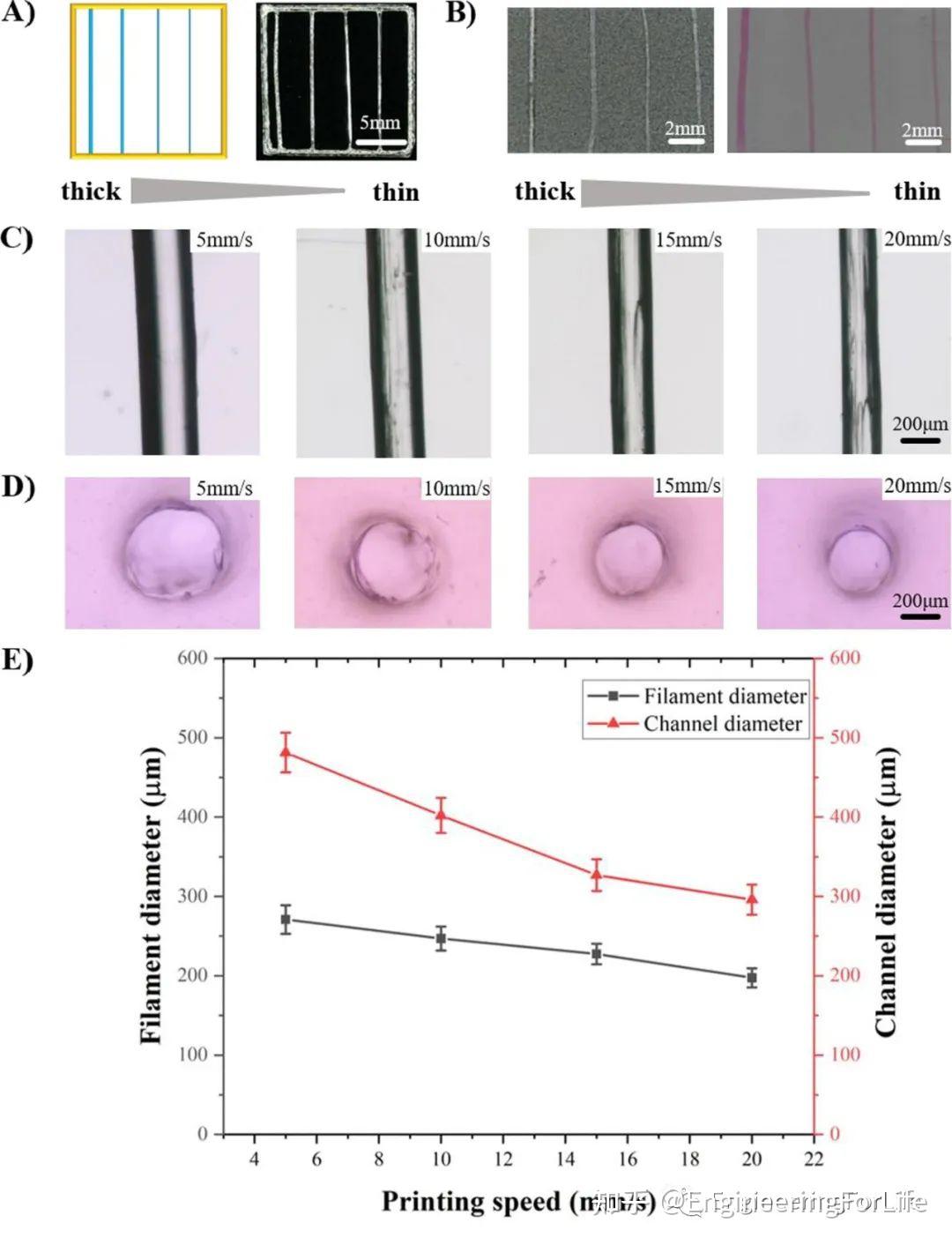 《Materials & Design》：水凝胶牺牲模板法结合3D打印定制具有通道网络的支架材料 - 知乎