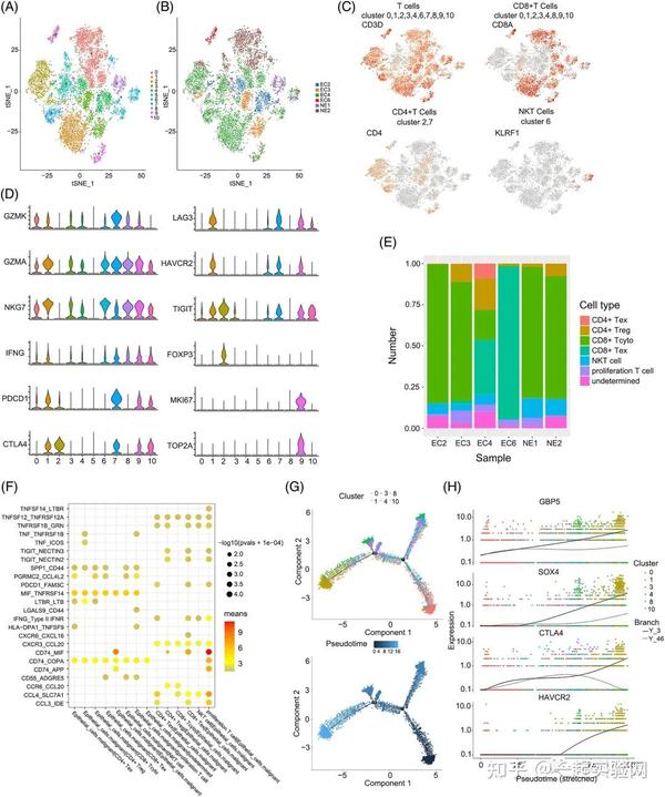 8+单细胞+EC - 知乎