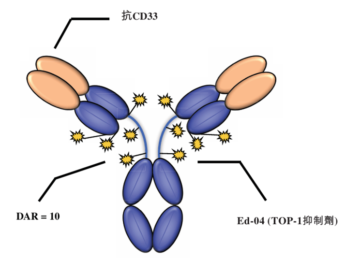 横空出世：百利天恒ADC药物全梳理 - 知乎